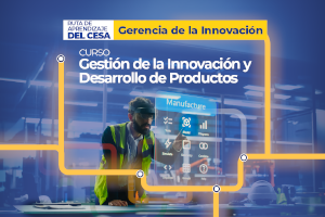 Lifelong Learning - CESA